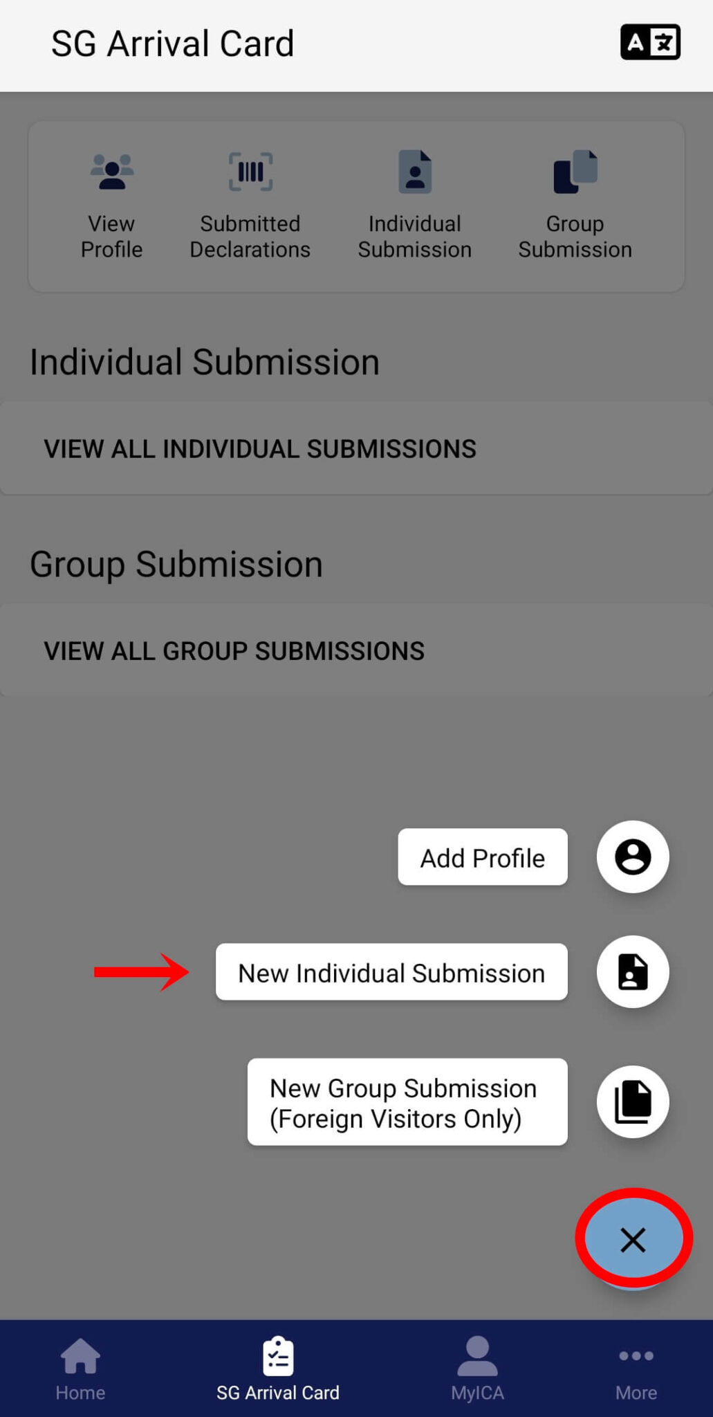 Singapore Arrival Card Online Application And Health Declaration ...
